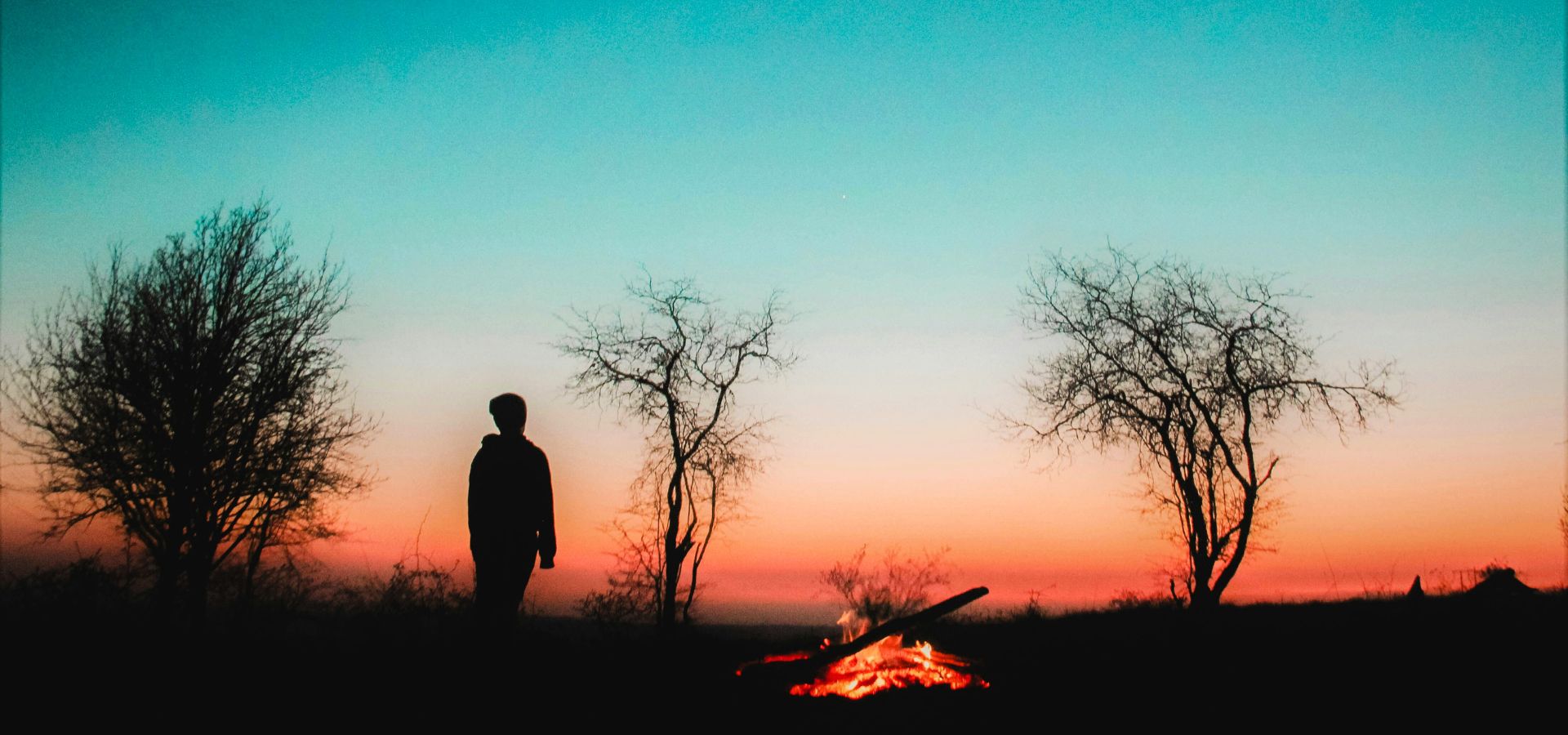 NO VENGEANCE | CPS GLOBAL