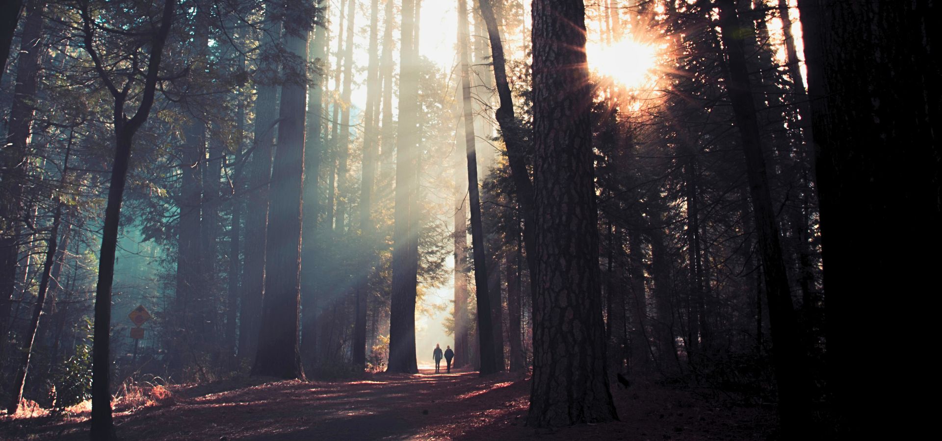 SPIRITUAL PARTNERS | CPS GLOBAL