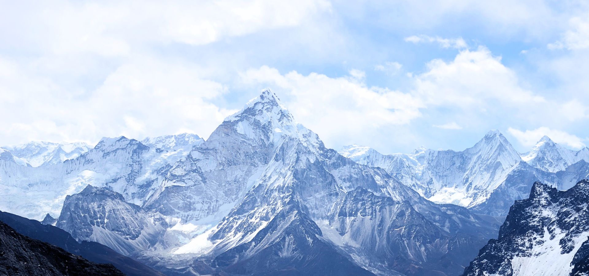 THE SYSTEM OF NATURE | CPS GLOBAL