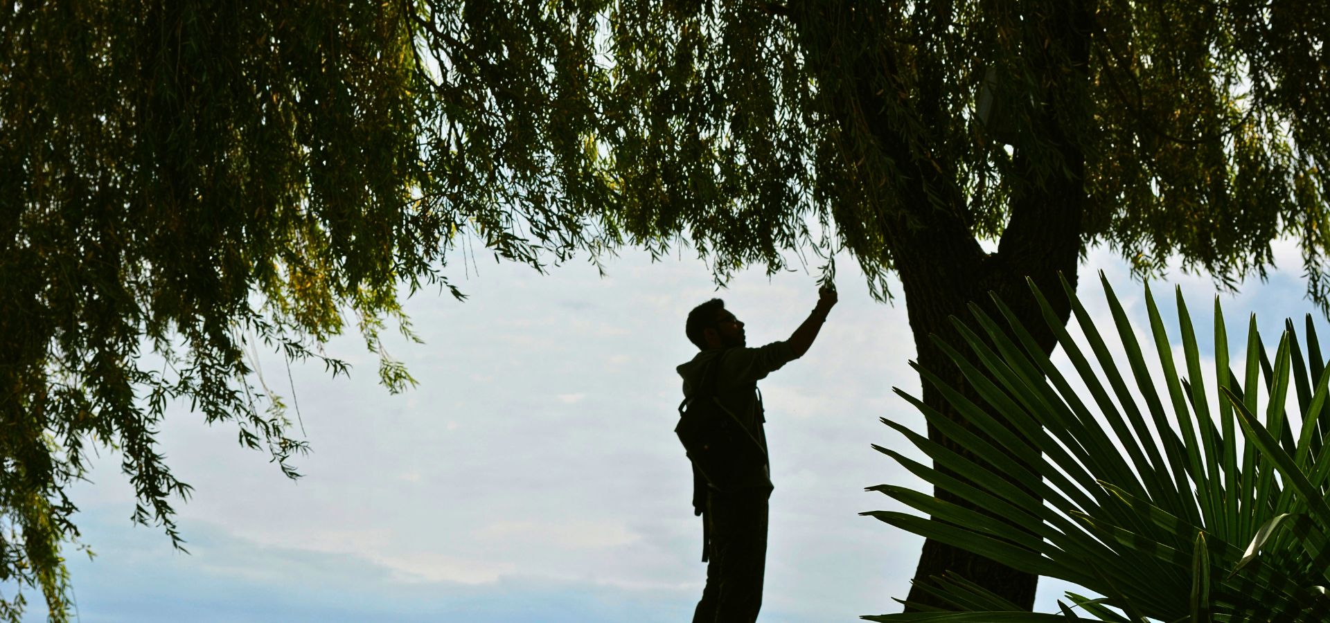 THE TREE – A SILENT SPEAKER | CPS GLOBAL