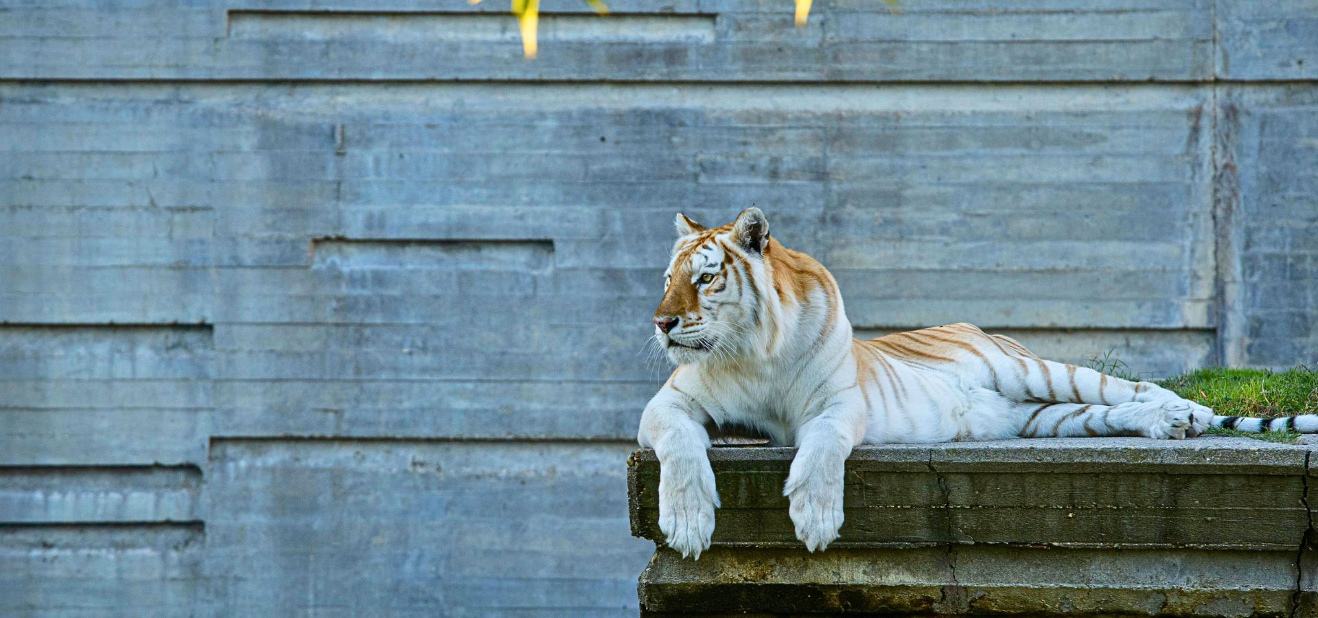 DO NOT PROVOKE OTHERS AND SO BE SAFE FROM OTHERS | CPS GLOBAL