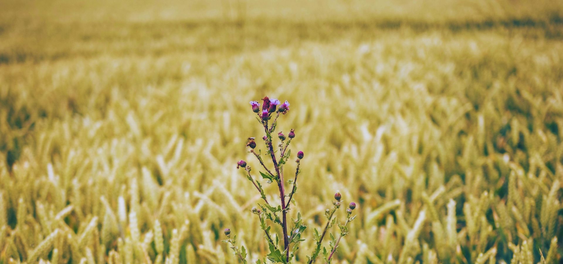 THE INNER AND OUTER ASPECTS OF FAITH | CPS GLOBAL