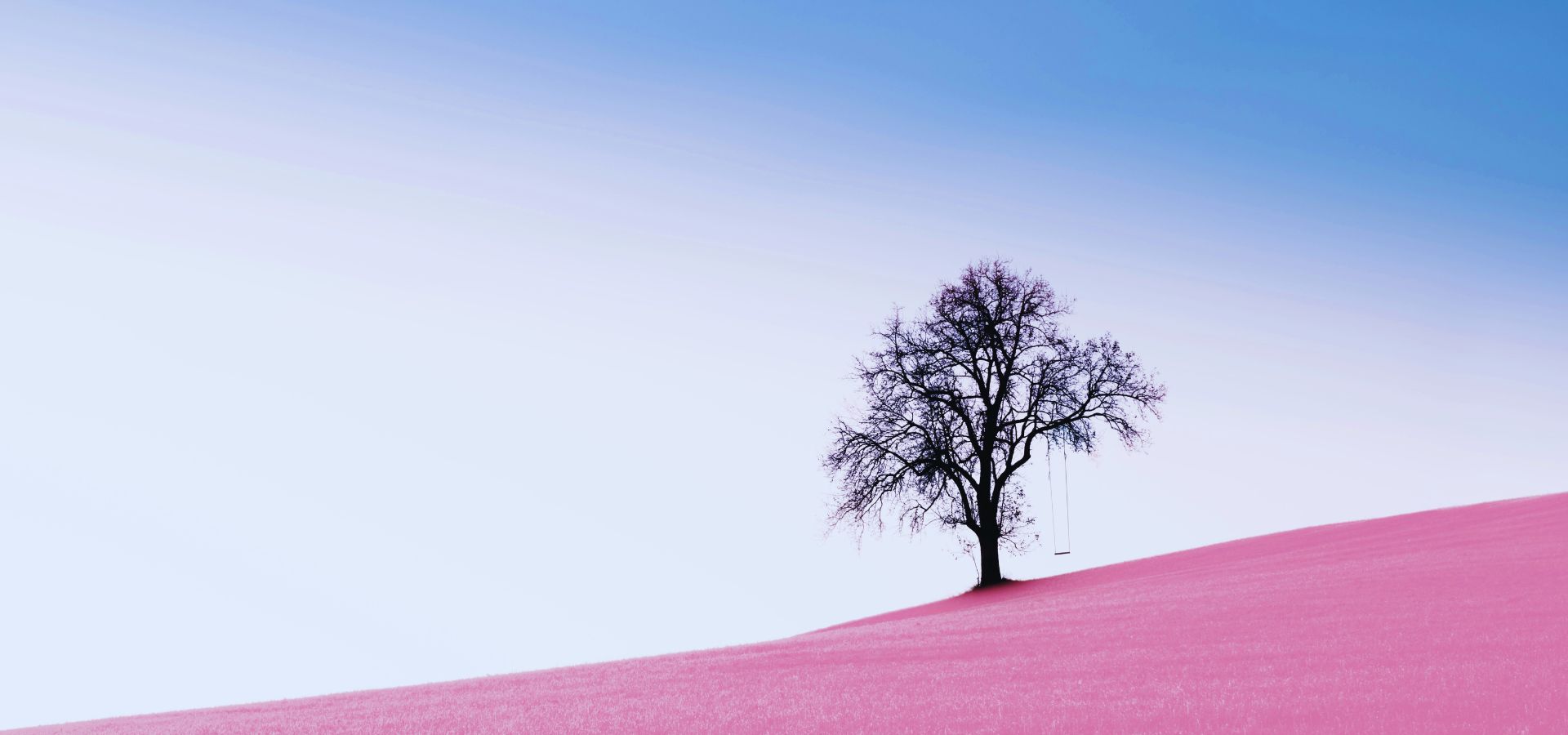 TEACHER TREE | CPS GLOBAL