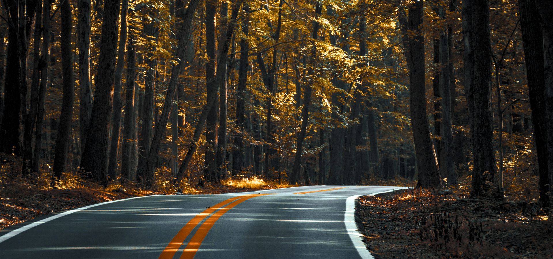 THE ROAD TO PEACE | CPS GLOBAL