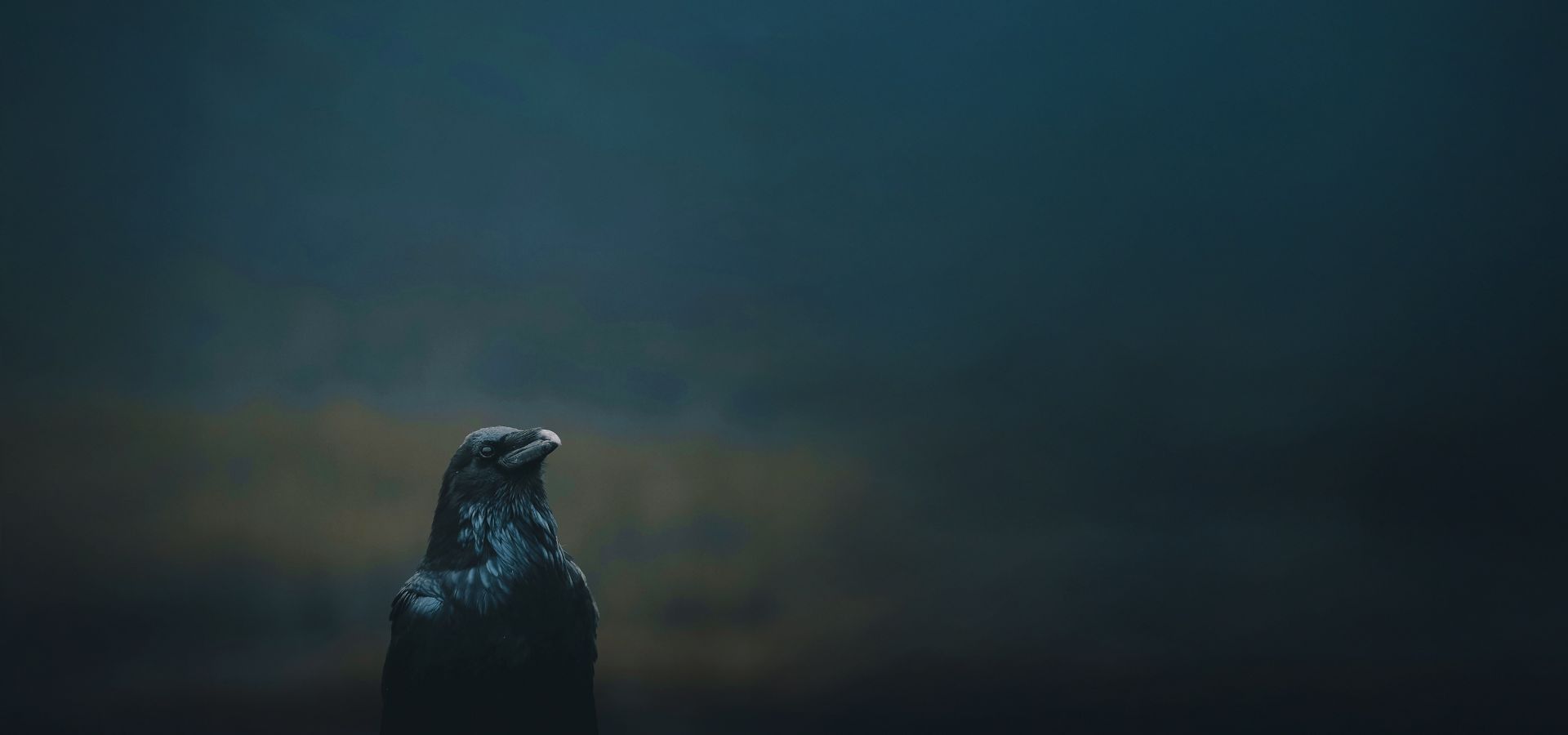 CROW AS A TEACHER | CPS GLOBAL